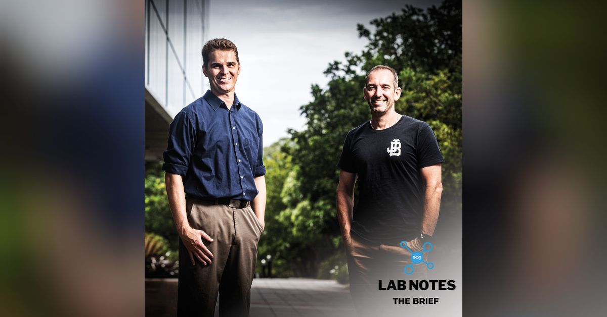 THE BRIEF - Casualisation and Down Rounds | Lab Notes
