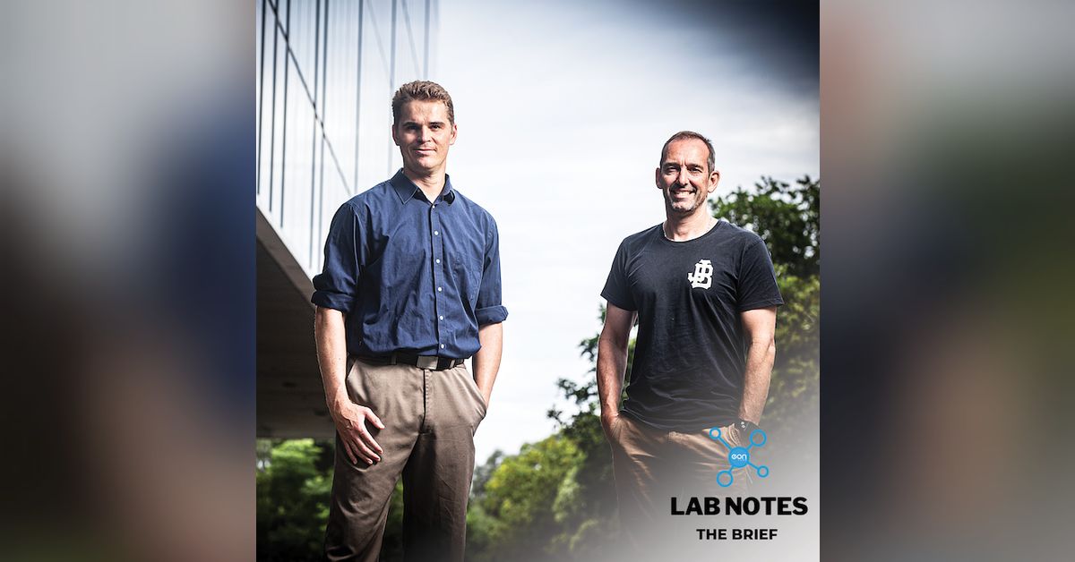 THE BRIEF - Theses and Business Plans | Lab Notes