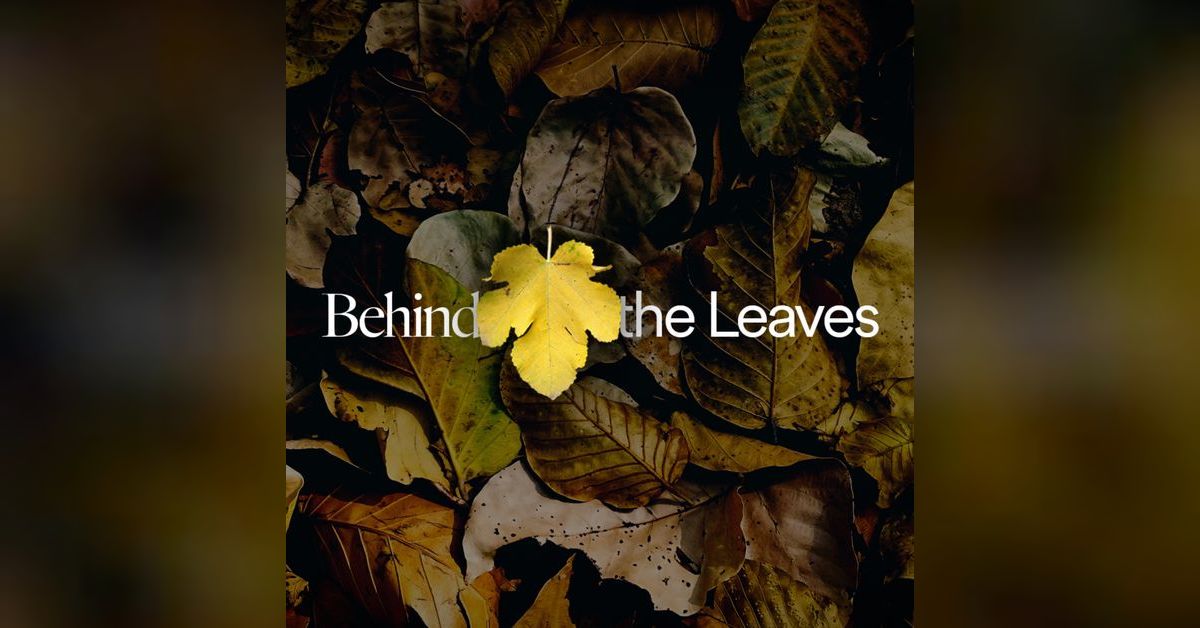 Behind the Leaves - Ps. Morgan Ervin | Awaken Church // AUDIO