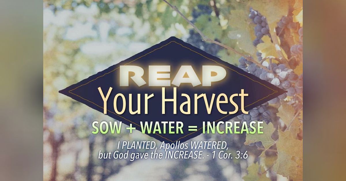 Reap Your Harvest: Sow + Water = Increase | Firm Foundation with Bryan ...