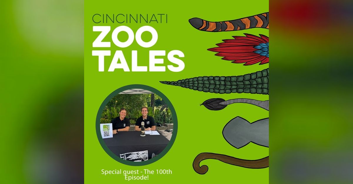 The 100th Episode! | Cincinnati Zoo Tales