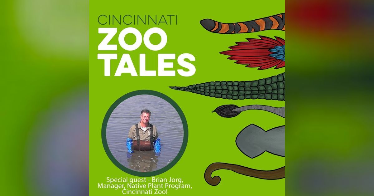 Brian Jorg, Cincinnati Zoo | Cincinnati Zoo Tales