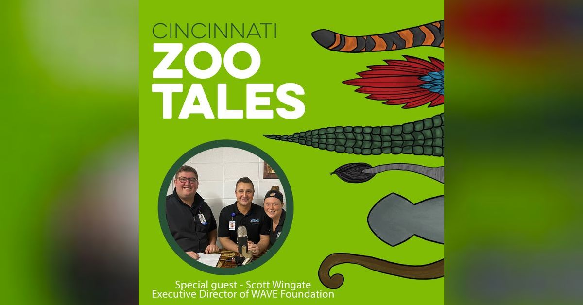 Scott Wingate, WAVE Foundation | Cincinnati Zoo Tales