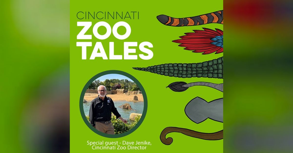From Conservation to Community: Meet Cincinnati Zoo’s New Director ...