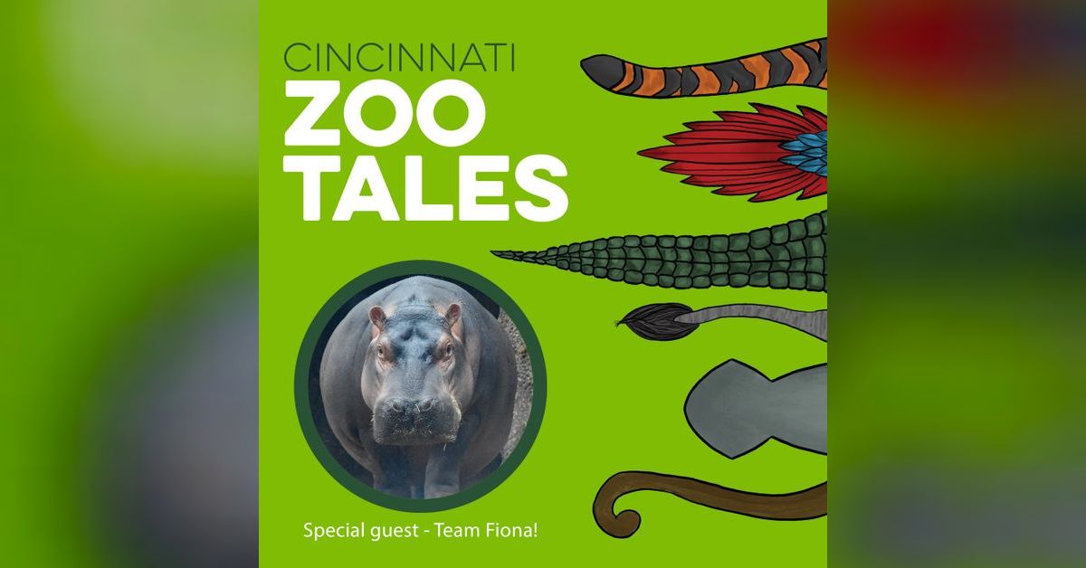 Happy 6th Birthday Fiona! | Cincinnati Zoo Tales