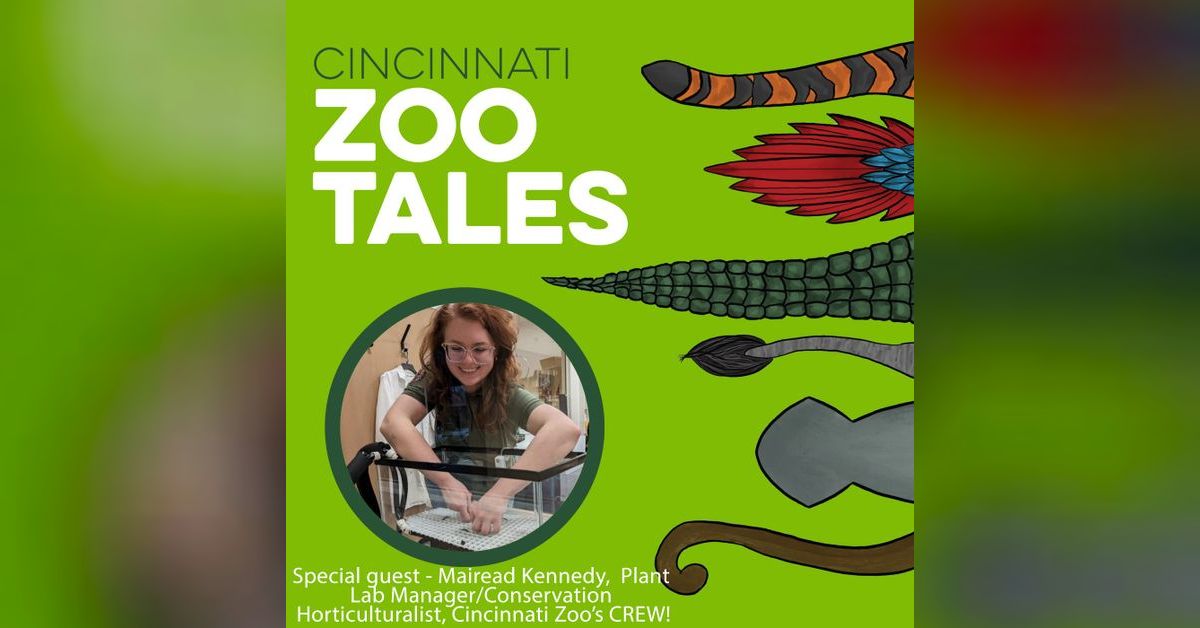 Mairead Kennedy, CREW | Cincinnati Zoo Tales