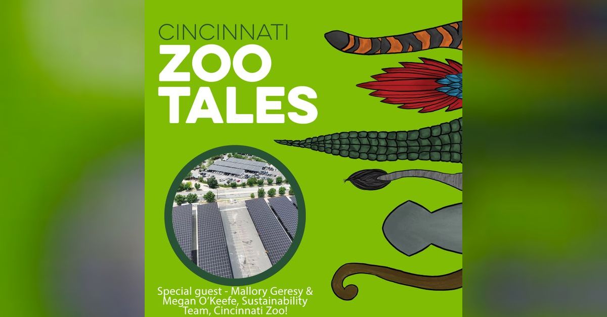 Sustainability at the Cincinnati Zoo | Cincinnati Zoo Tales