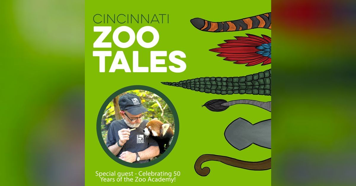 Celebrating 50 Years of Zoo Academy at the Cincinnati Zoo | Cincinnati ...