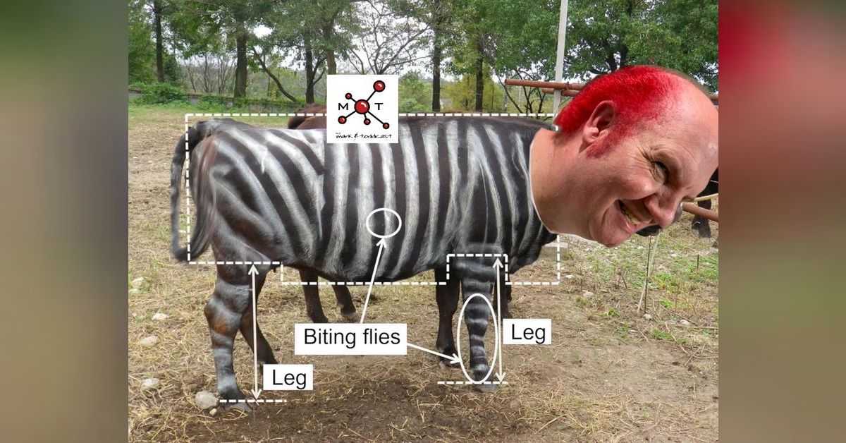 #169 - It's Gold, Jerry! | Mark and Toddcast