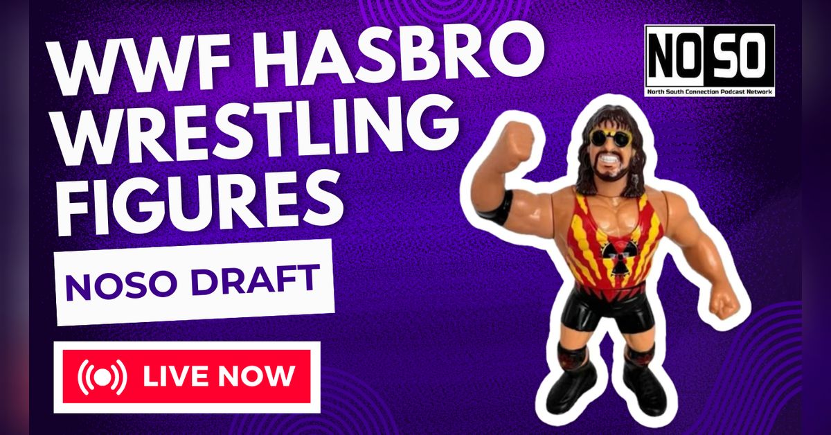 NoSo Draft #17 - WWF Hasbro Wrestling Figures | The North-South Connection