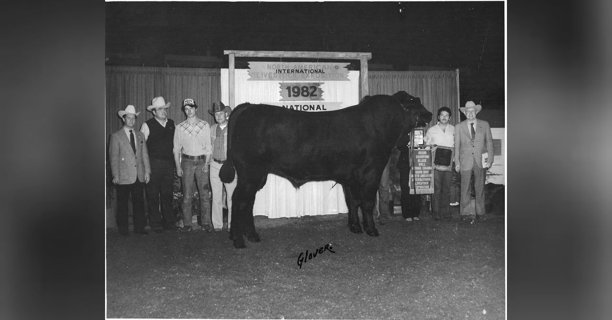 19 - LEGENDARY CATTLEMEN Part 10 - Harlan Ritchie and the type change ...