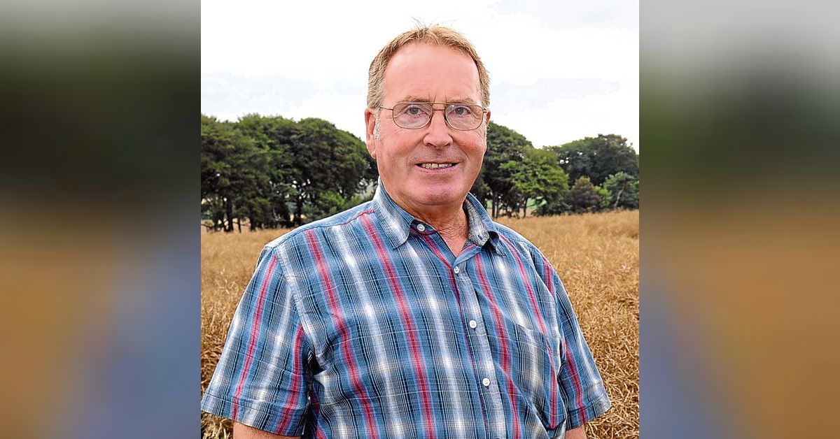 132 - Characters in Livestock - Albert Howie | Toplines and Tales