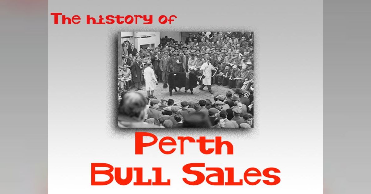 114 - Perth Bull Sales Special | Toplines and Tales