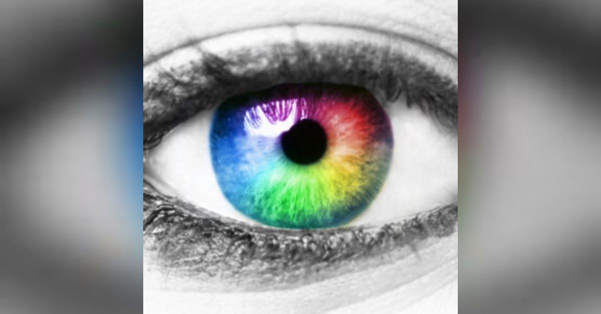 S3, Ep4 How we see colour | The Wonder Podcast for Curious Kids