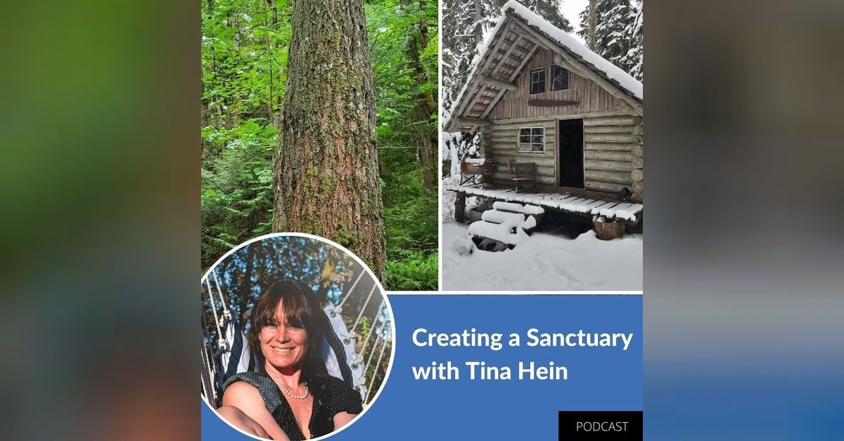 53. Creating a Sanctuary with Tina Hein | OFM - Why Metabolic Health ...