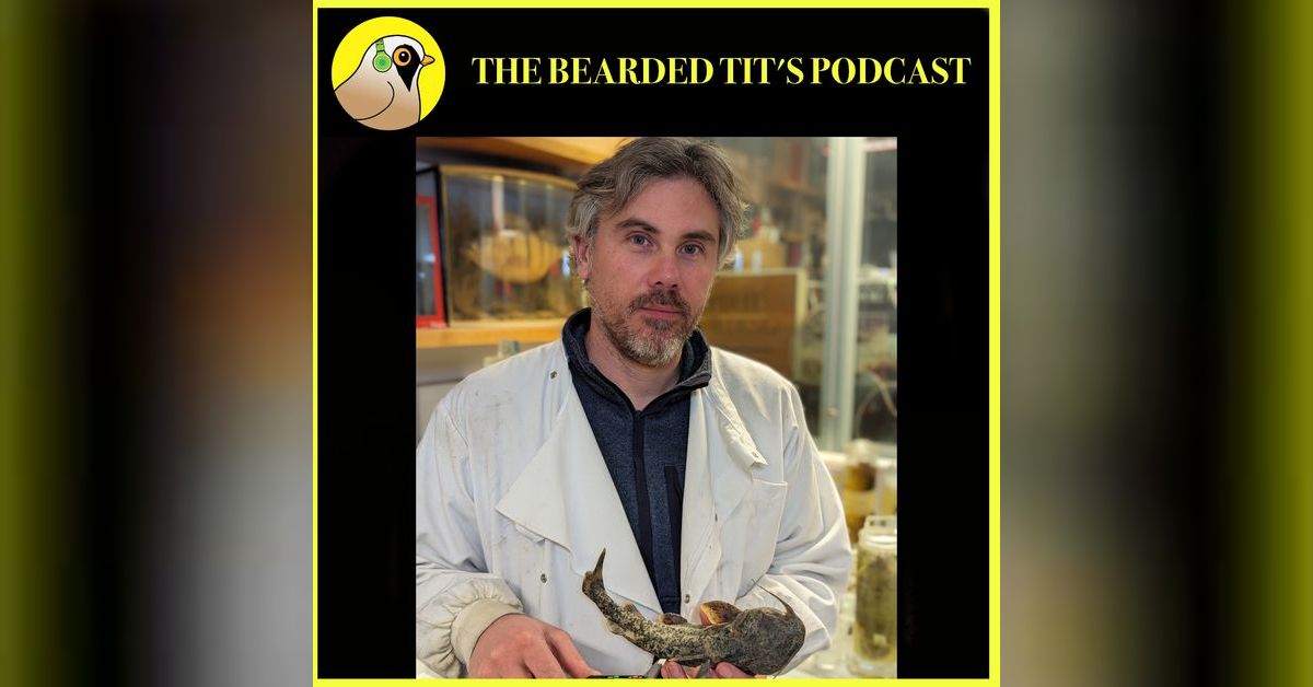 Tank Room: Natural History Museum London ft Rupert Collins #140 | The ...