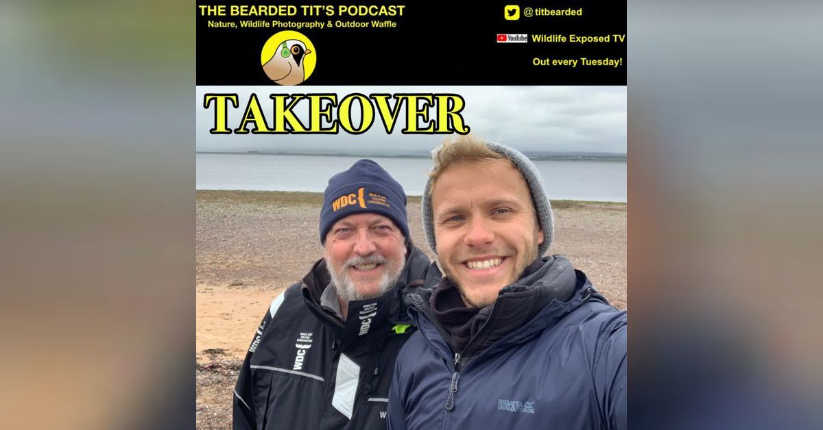 Dolphins of Scotland ft Billy Heaney/Charlie Philips #103 | The Bearded ...