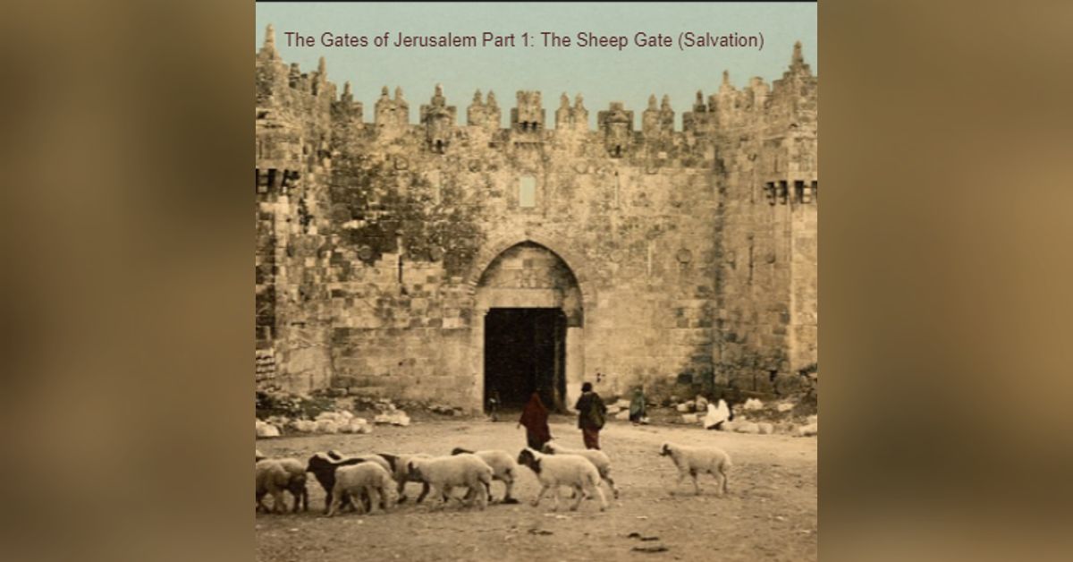 The Gates of Jerusalem Part 1: The Sheep Gate (Salvation) | The Voice ...