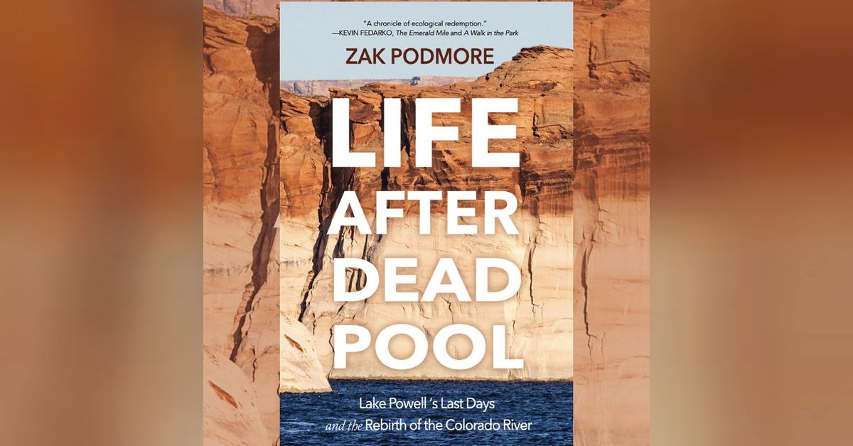 Write On Four Corners with DelSheree Gladden: Interview with Zak ...