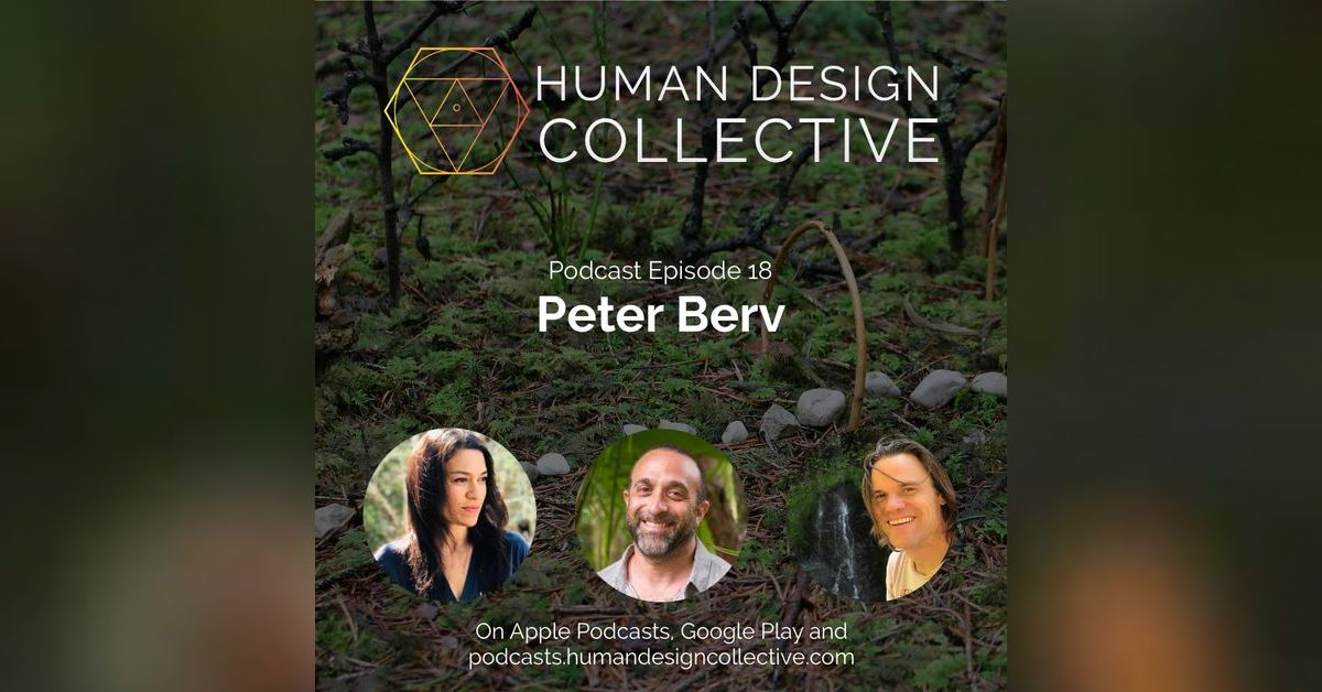 Peter Berv on his work as an analyst and with various healing modalities, his near death ...