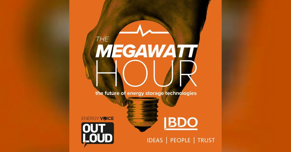 The Megawatt Hour – Episode 7: Home is where the smart is | Energy ...