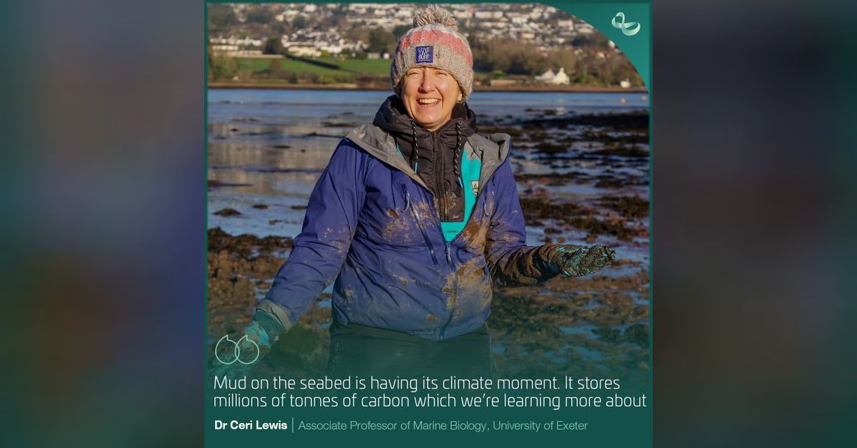 A Deep Dive into Mud & Worms with Marine Biologist Dr Ceri Lewis | The ...