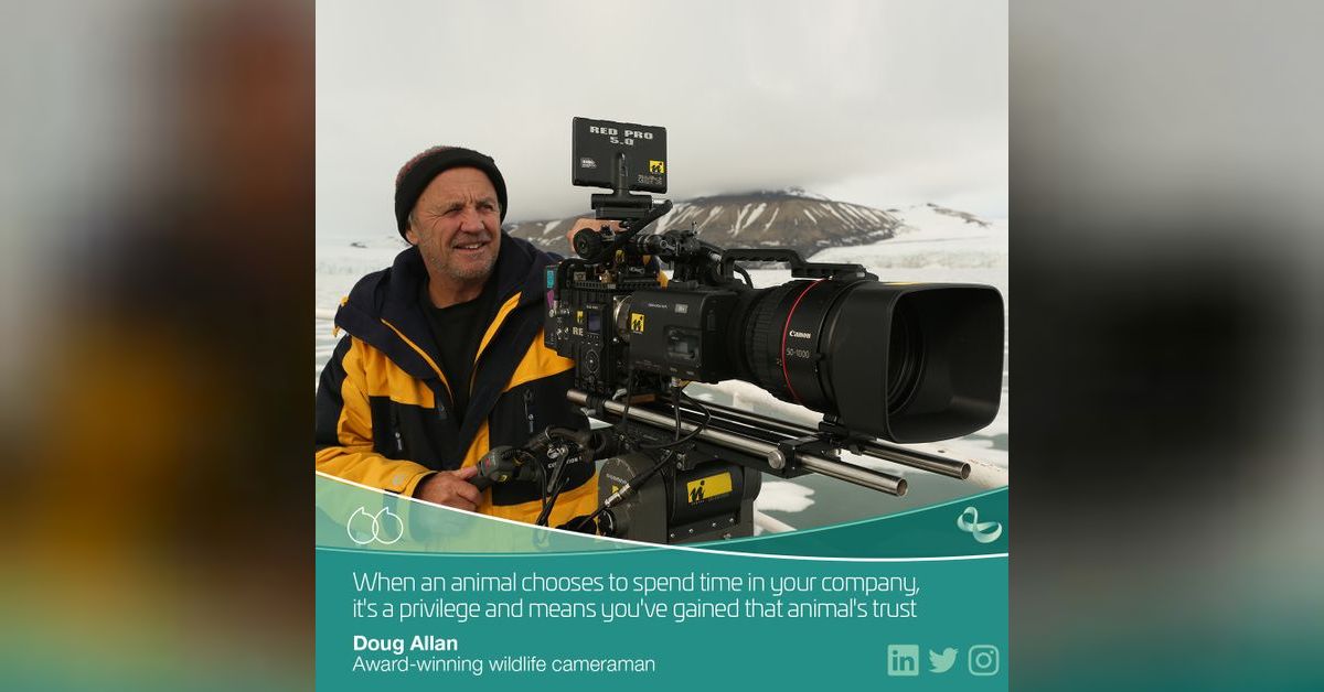 Wildlife cameraman Doug Allan shares adventures on the ice | The Convex ...