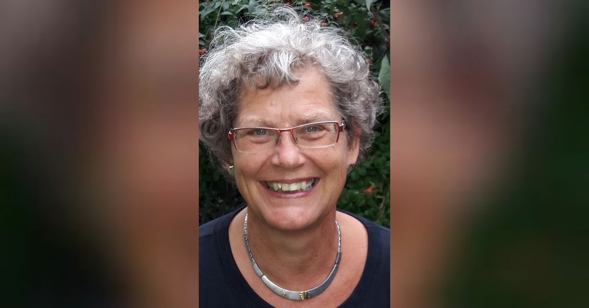 Standardized Infant NeuroDevelopmental Assessment Neurological Scale ...