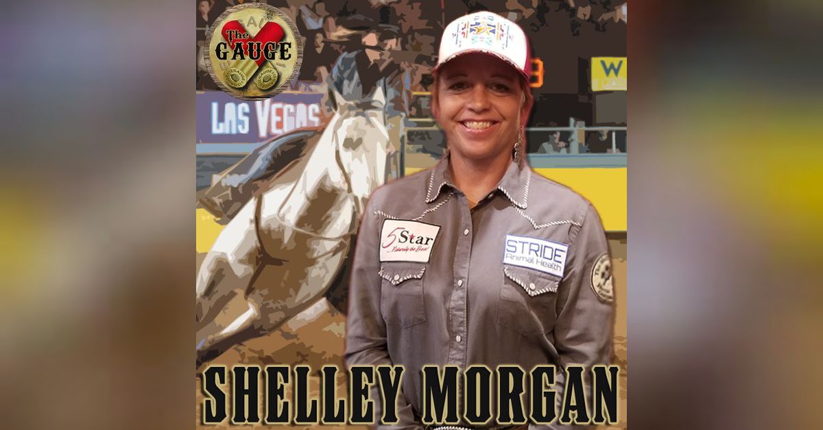 Shelley Morgan | The Gauge