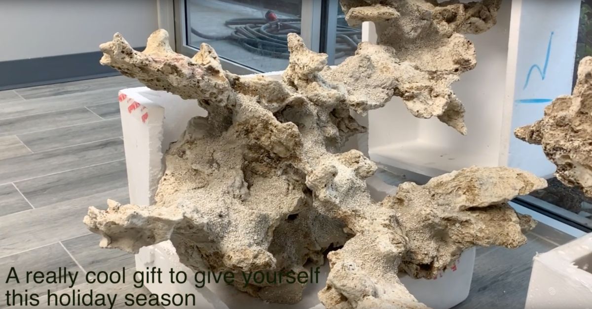 How to build your own coral reef rock structures - TSA Custom Rock Work ...