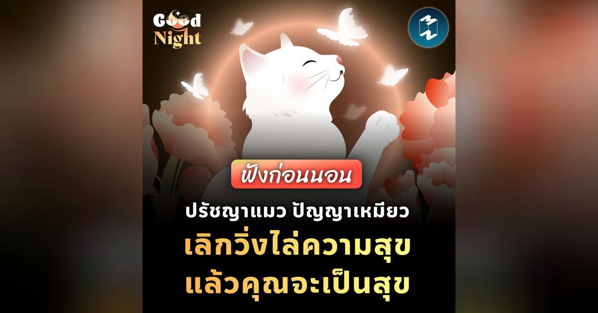 ปรัชญาแมว ปัญญาเหมียว เลิกวิ่งไล่ความสุข แล้วคุณจะพบมัน #ฟังก่อนนอน | Good Night EP.47 | Good ...