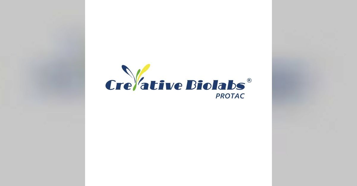 PROTAC Technology in Tumor Targeted Therapy | The antibody-based ...