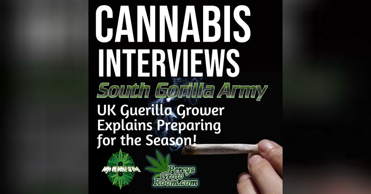 How to Prepare a Guerrilla Grow for This Years Grow Season, With South ...