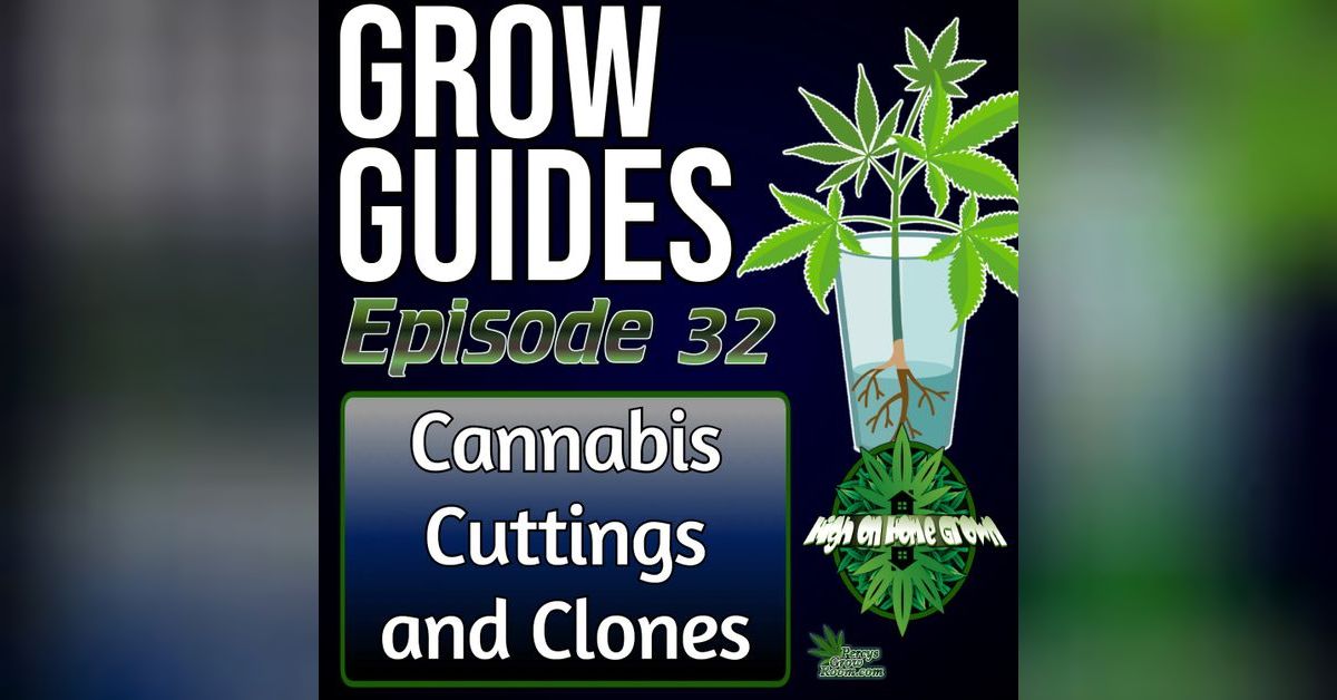 How to Take Cuttings and Clones from Cannabis Plants | CAnnabis Grow ...