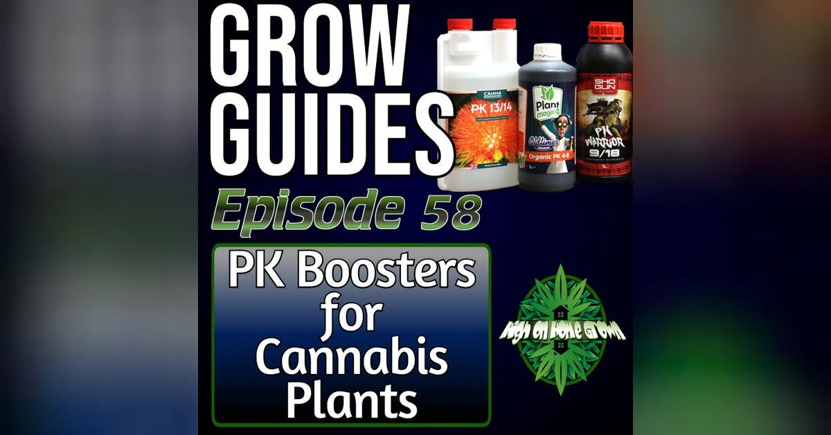 PK Boosters for Cannabis Plants | Cannabis Grow Guides Episode 58 ...