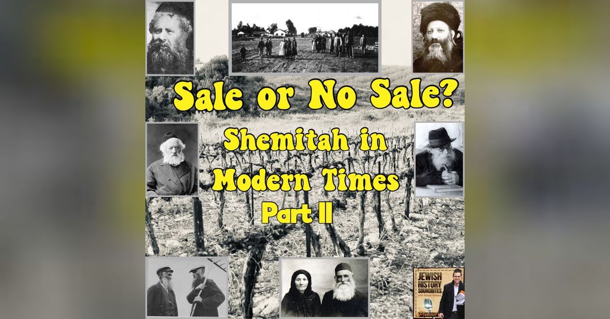 Sale or No Sale? Shemitah in Modern Times Part II | Jewish History ...