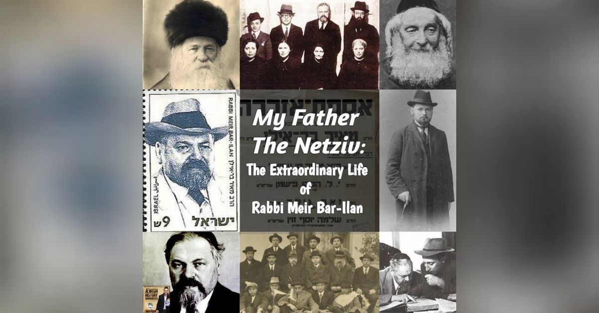 My Father The Netziv: The Extraordinary Life of Rabbi Meir Bar-Ilan ...