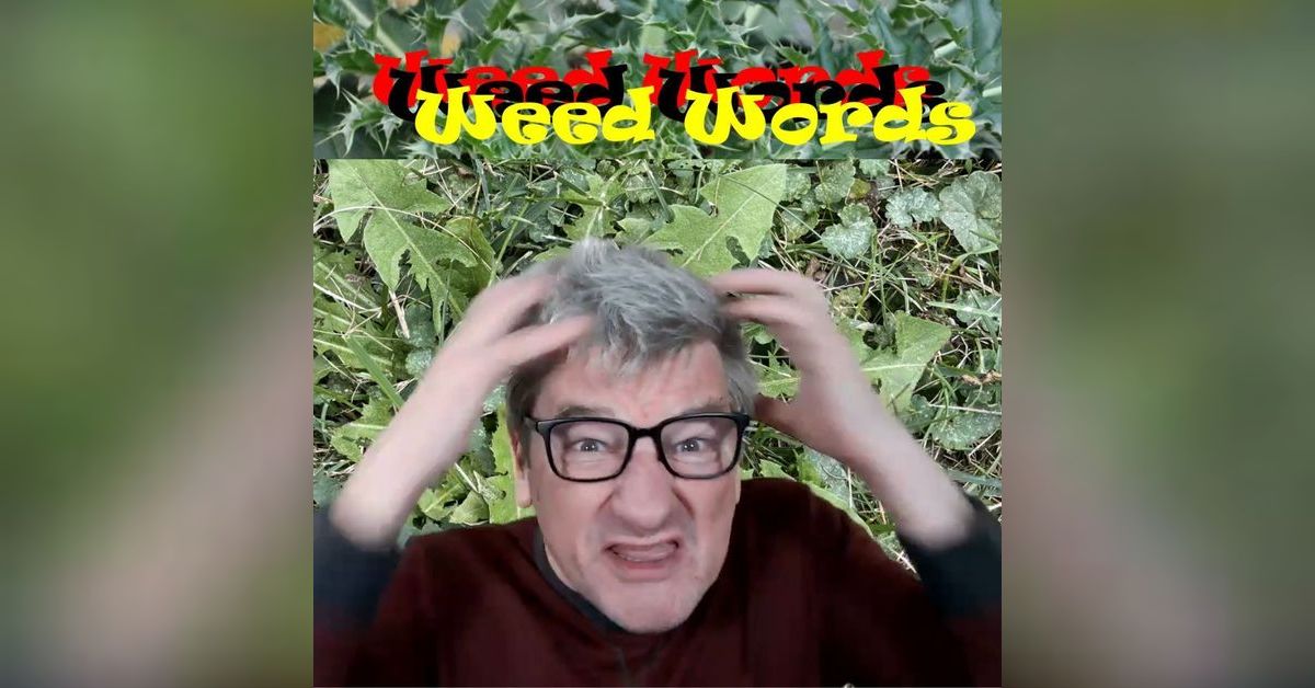 Weed Words: introduction to these Weed Word Alerts | Your Intended Message