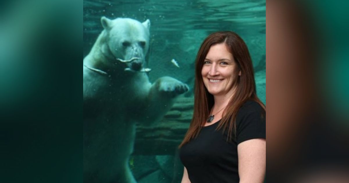 Polar Bears in a Changing Climate with Dr. Erin Curry | Between the ...