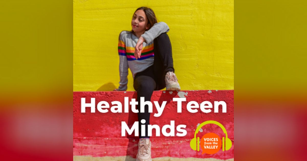 Healthy Teen Minds | Voices from the Valley: A podcast of the Community ...
