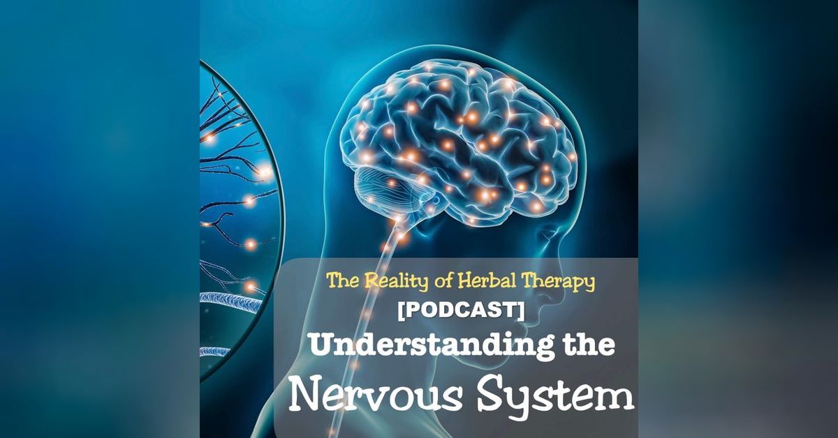Understanding the Nervous System: Herbal Remedies for Stress, Anxiety ...