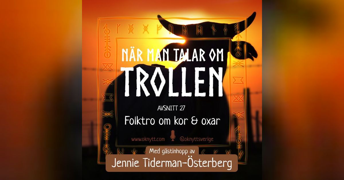 Folktro om kor & oxar | När man talar om trollen