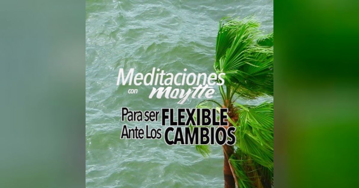 Meditacion para Ser Flexibles ante los Cambios y la Diversidad por ...