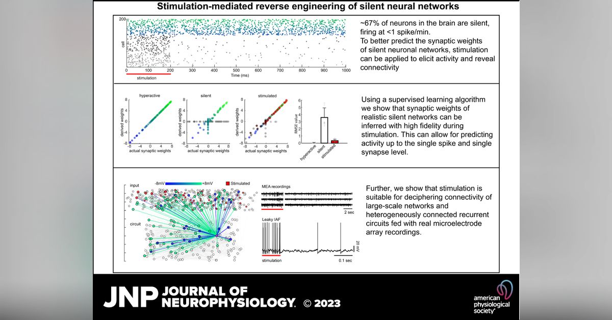 JNP Micro Podcasts ”Four Questions”: Xiaoxuan Ren, Ilhan Bok, Adam ...