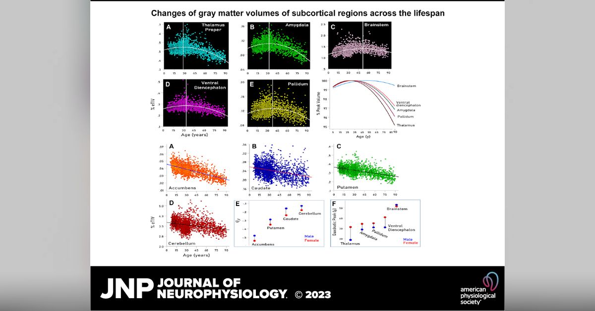JNP Micro Podcasts: Aging and Subcortical Gray Matter Volume | Journal ...
