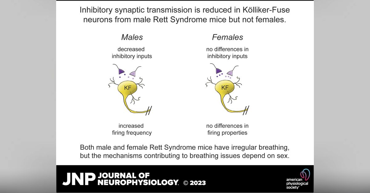 JNP Micro Podcasts: Inhibitory Synaptic Transmission in the Kölliker ...