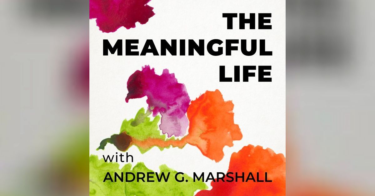 Robert Hopcke: Synchronicity: Meaningful Coincidences: How to Spot Them ...