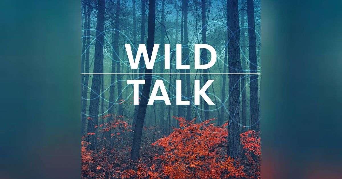 Wild Talk | Emily Kagan-Trenchard and Jay Erickson