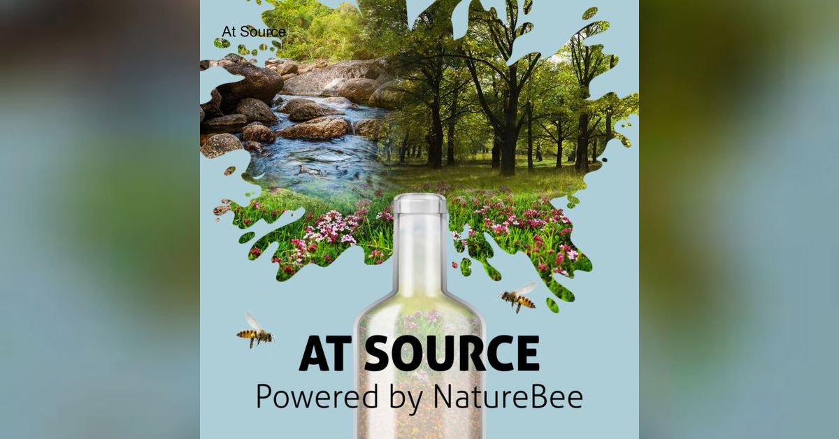 Nutrition and eating psychology coach Michelle Hall – building a ...