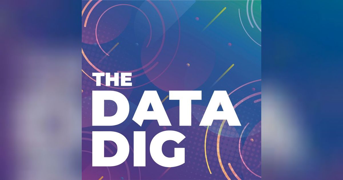 The Data Dig | The Data Dig